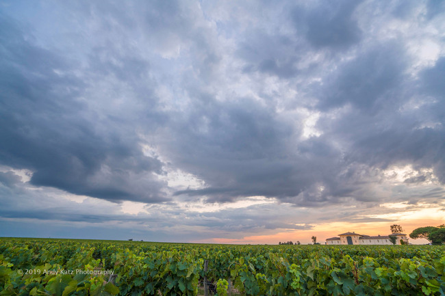 Vinography Images: The Wide Sky : Vinography