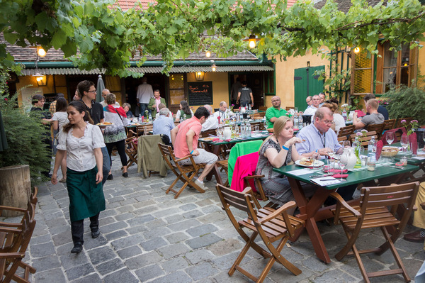 Austria: The Wine Lover's Dream Destination : Vinography