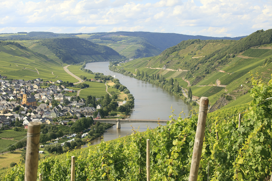 Off to Germany to Drink Some Riesling! : Vinography