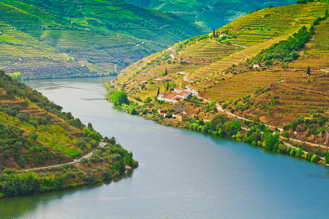 Warm Up: The Douro : Vinography