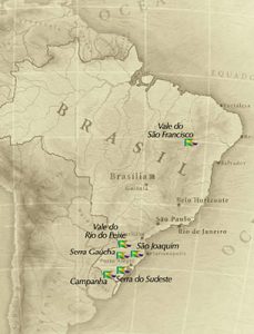 The Best of Brazilian Wine: My First Taste and Impressions : Vinography