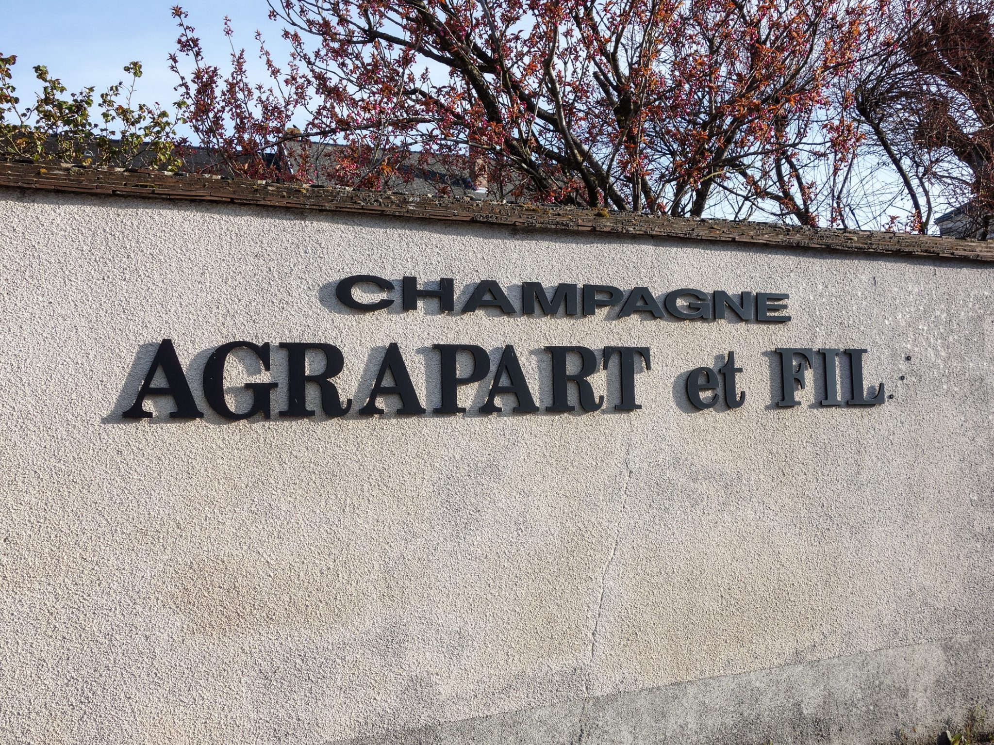 Tasting One Man's Experience: The Champagnes of Agrapart et Fil ...