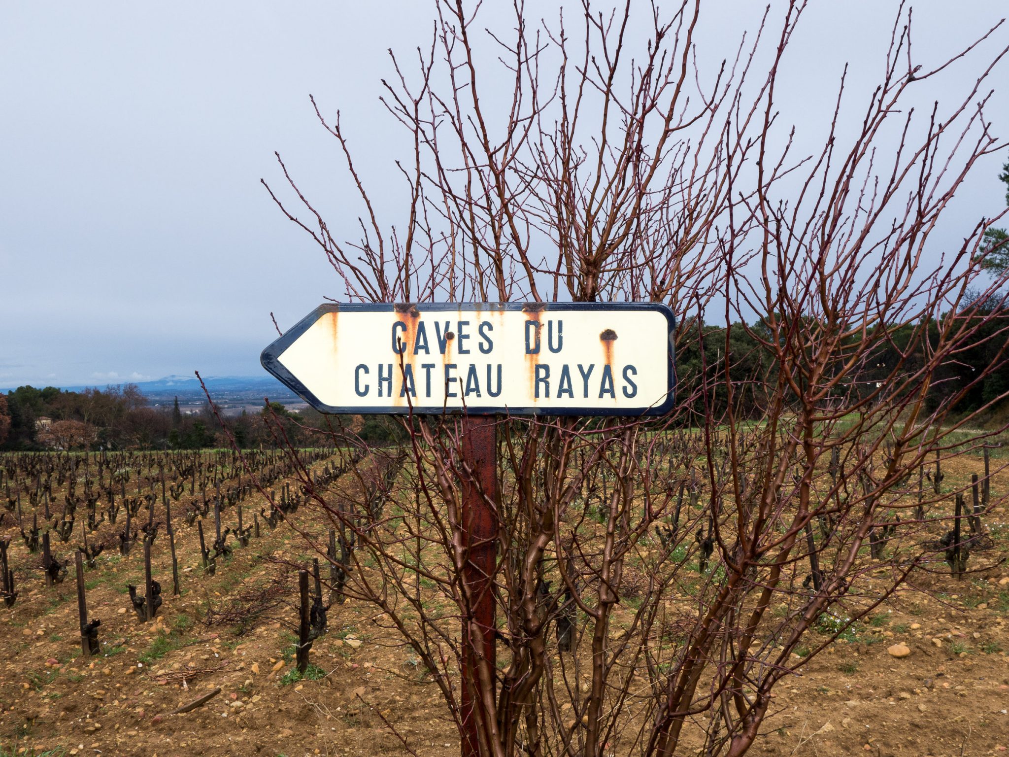 Chateau Rayas and the 2012 Vintage of Chateauneuf-du-Pape : Vinography