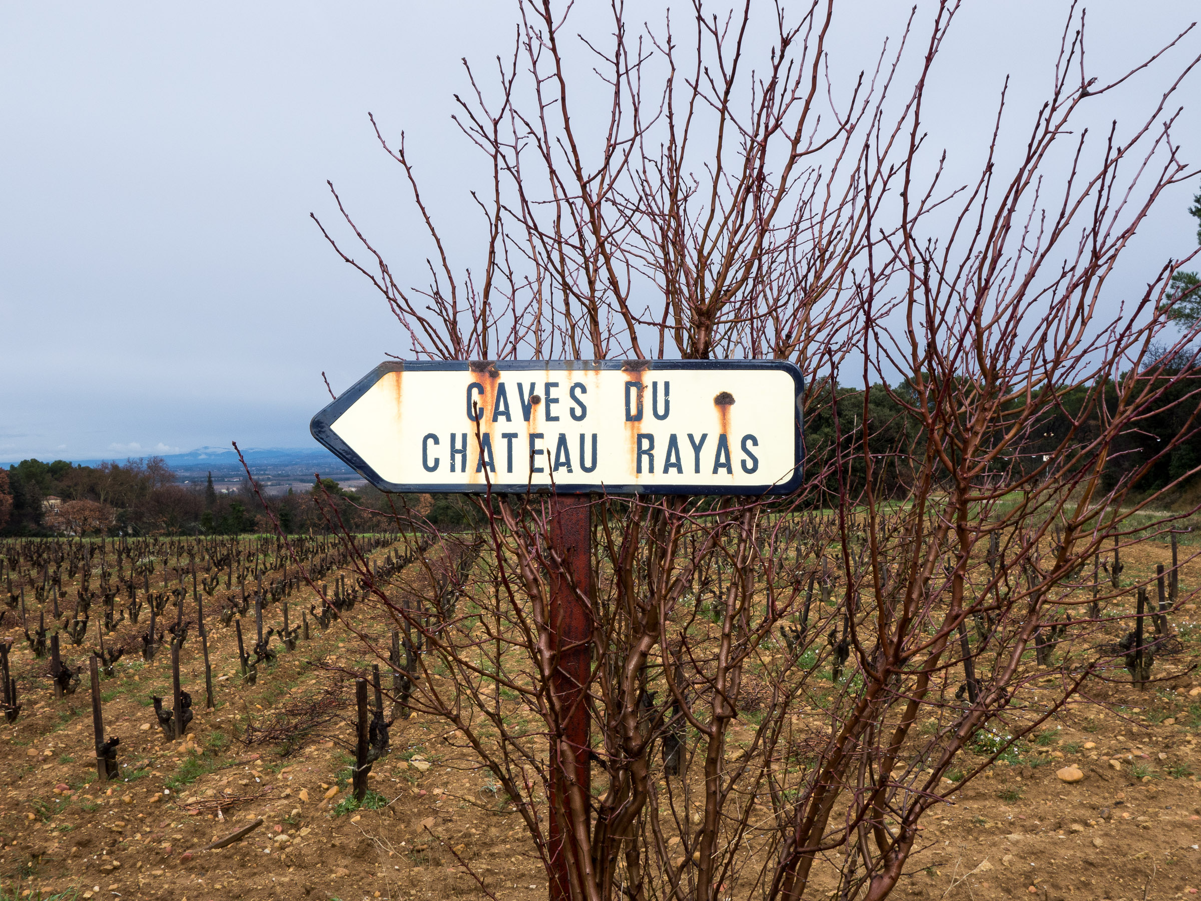 Chateau Rayas and the 2012 Vintage of Chateauneuf-du-Pape : Vinography