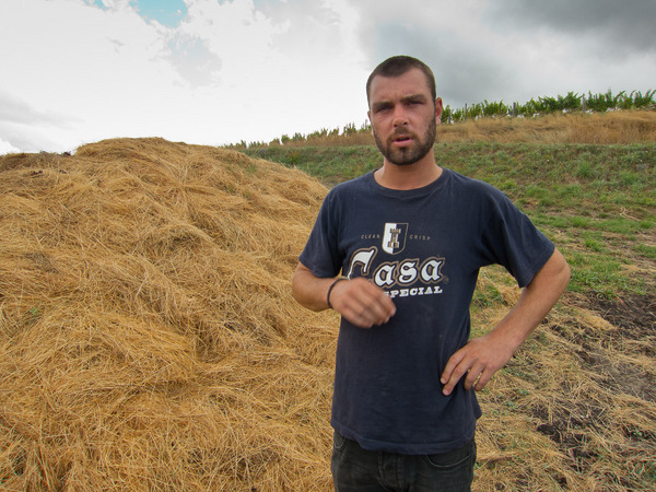 Churton Wines, Marlborough, New Zealand: Recent Releases : Vinography