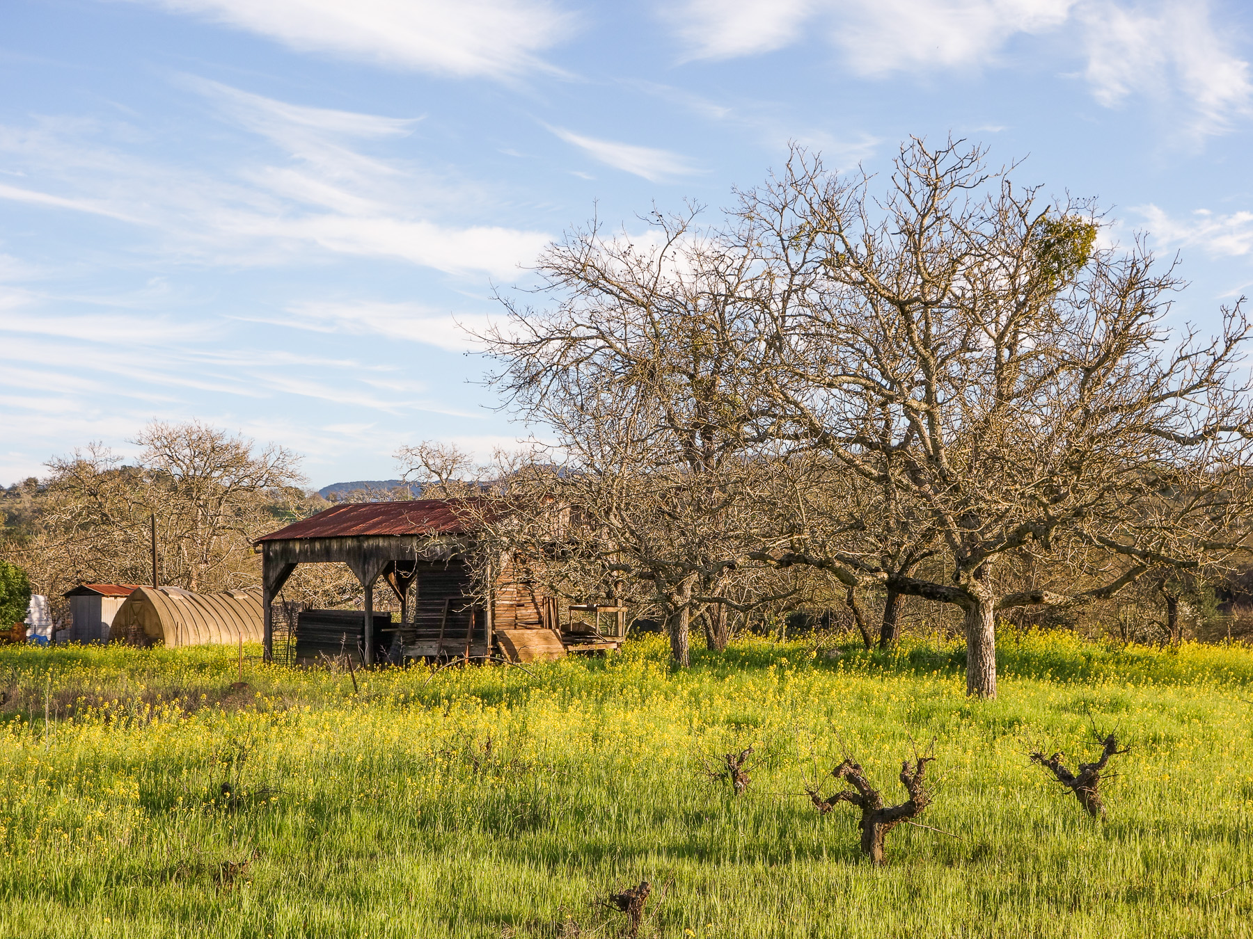 Chillin' Out in Coombsville, Napa's Last Secret Terroir : Vinography
