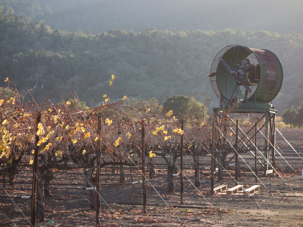 Building a Foundation The Right Way: The Wines of Cornerstone Cellars ...