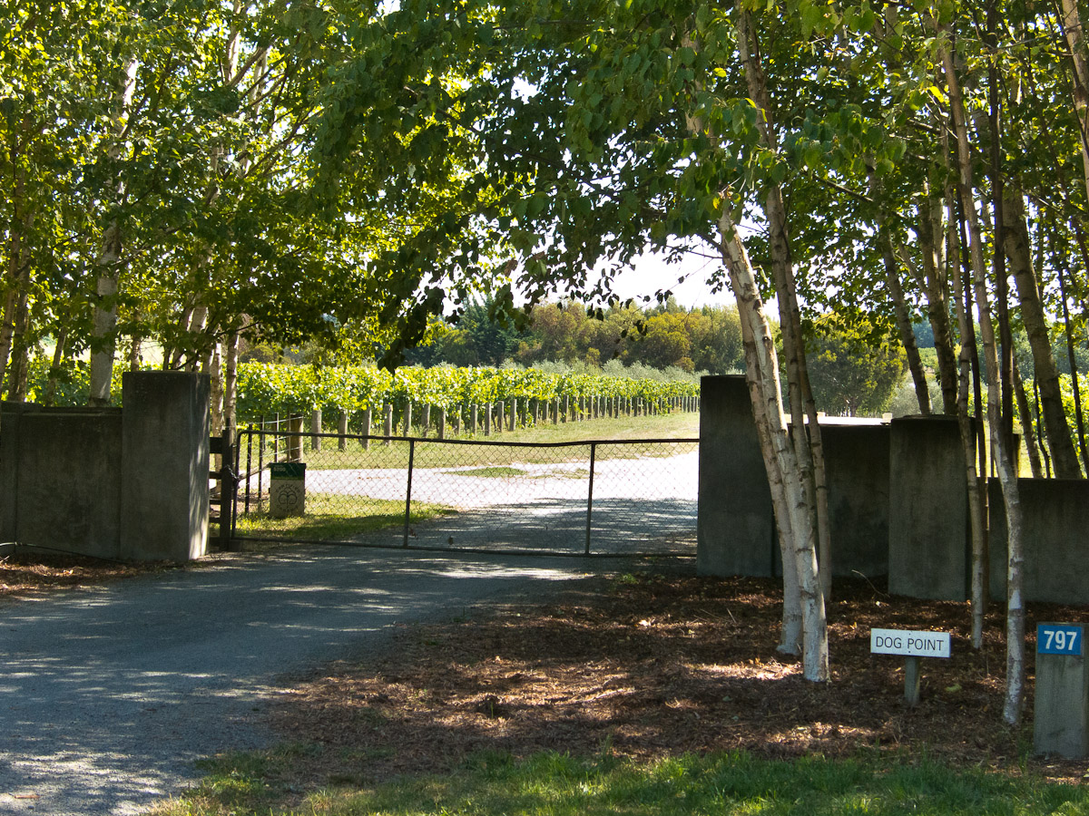 Dog Point Vineyard, Marlborough, New Zealand: Current Releases : Vinography