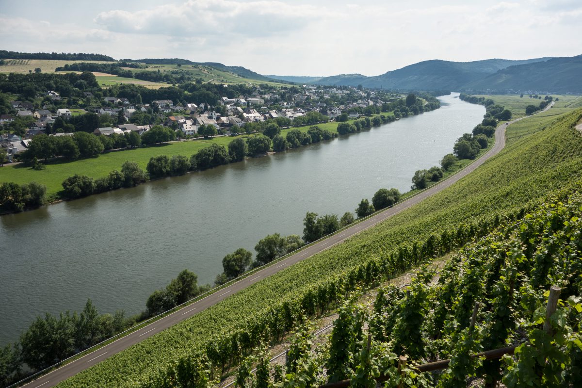 Weingut Fritz Haag, Mosel, Germany: Current Releases : Vinography