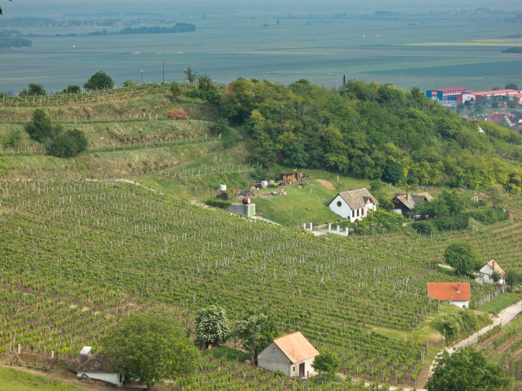 Heimann , Buchhandlung HEYMANN