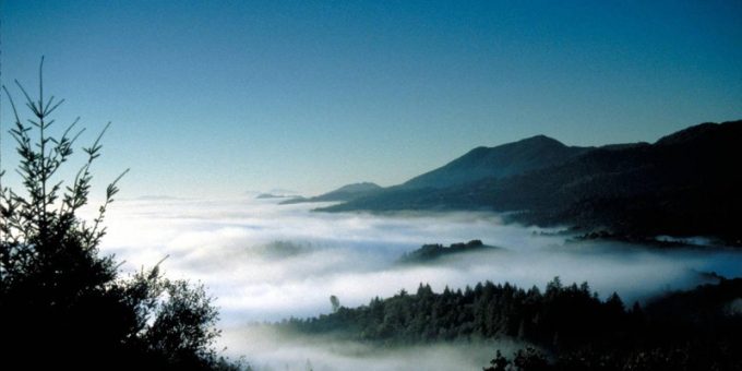 Spring Mountain District Tasting: November 16, San Francisco : Vinography