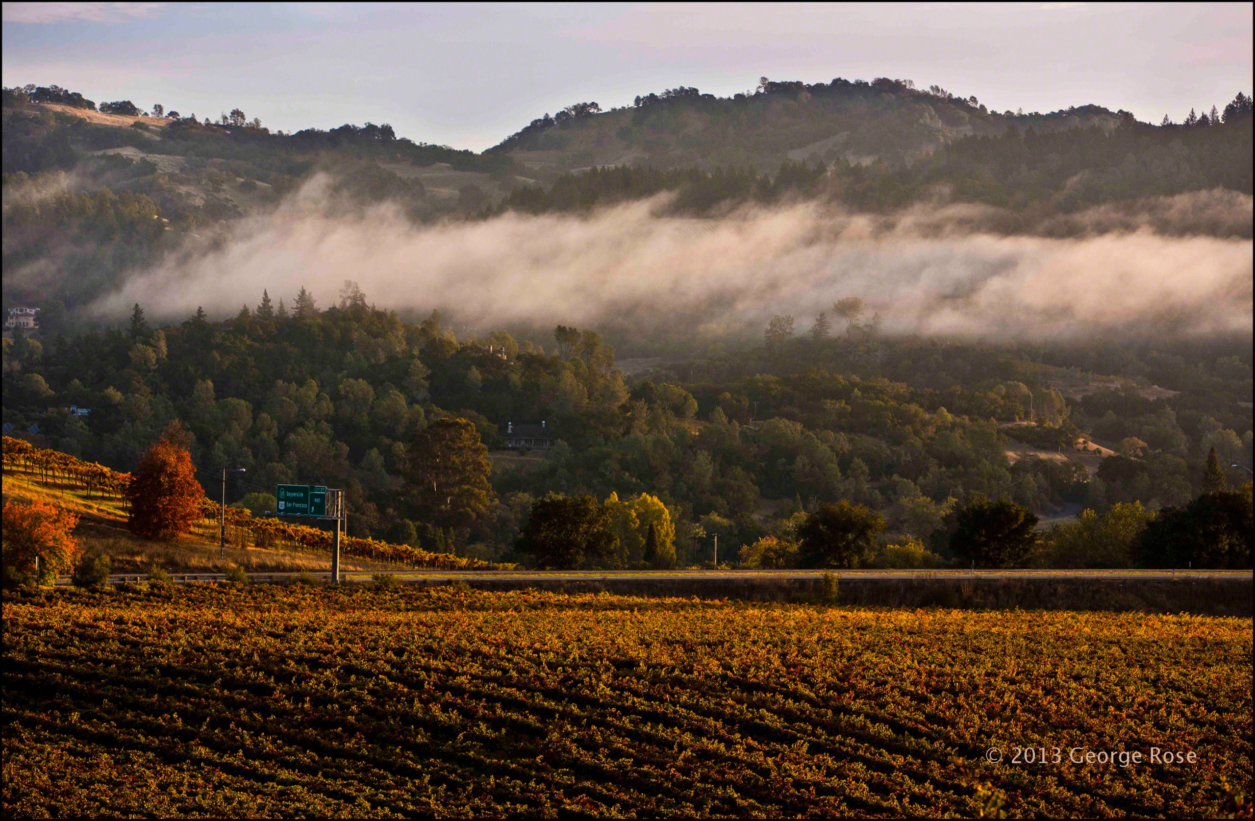 Vinography Images: Autumn Mist : Vinography