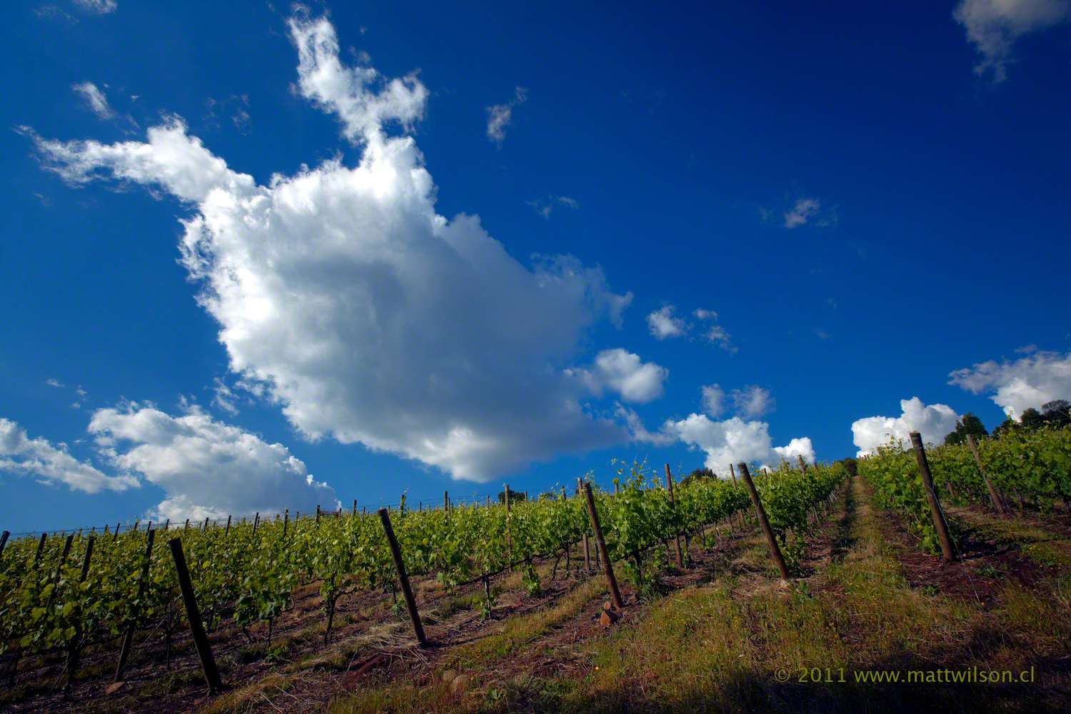 Vinography Images: Cachapoal Sky : Vinography