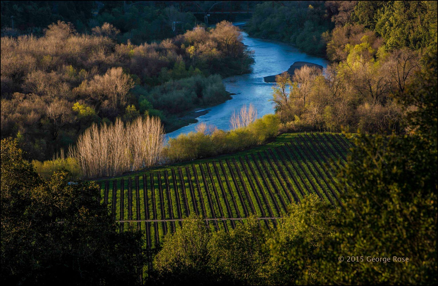 Vinography Images: The Cool, Cool River : Vinography