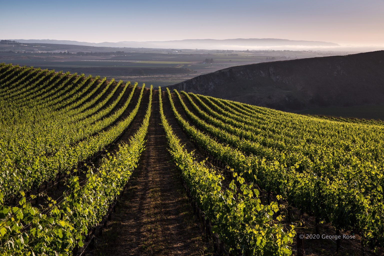 Vinography Images: The Cool Distance : Vinography