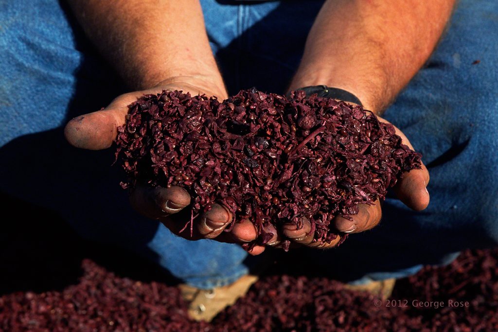 Vinography Images: Grape Compost : Vinography