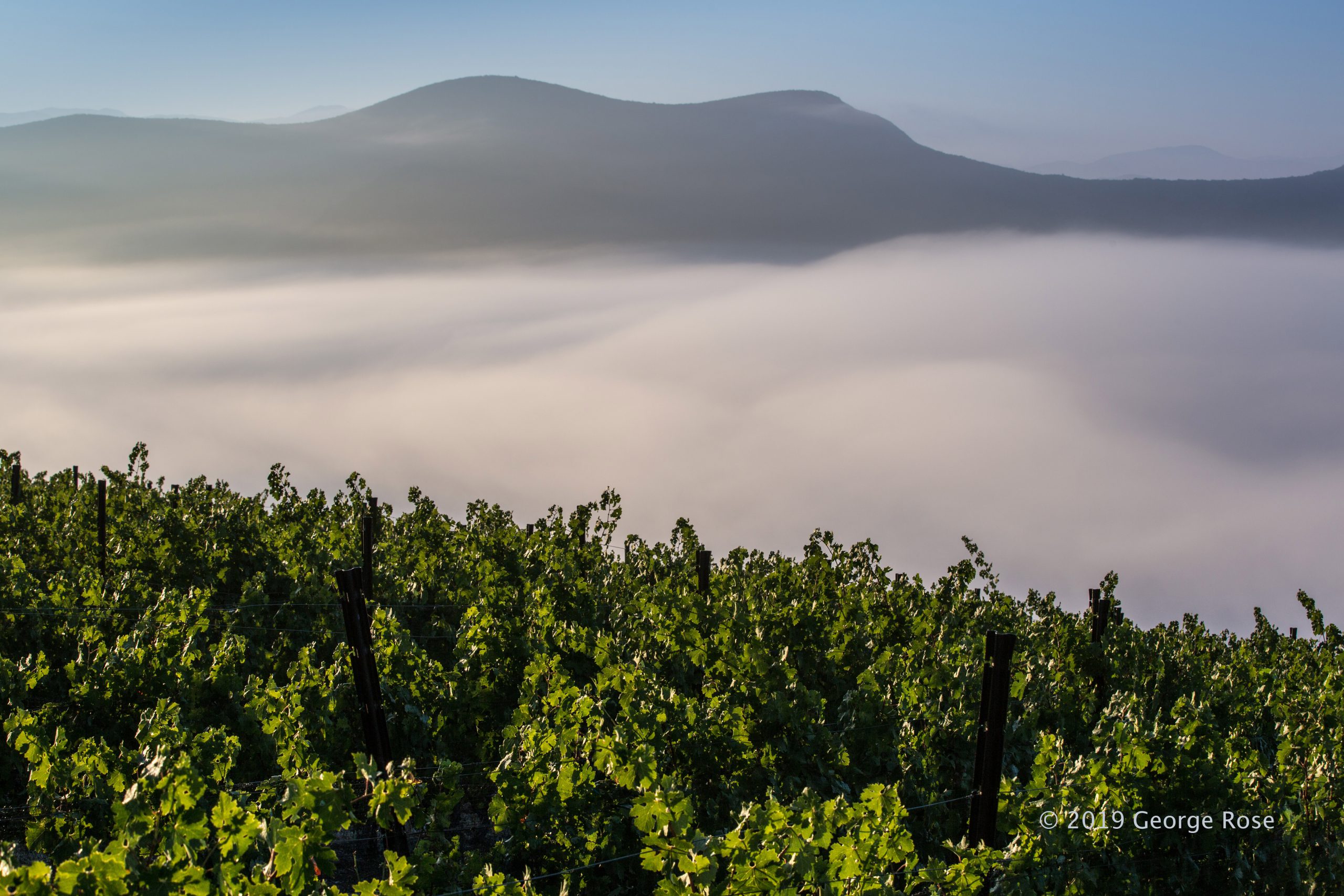 Vinography Images: Higher Than Cool : Vinography