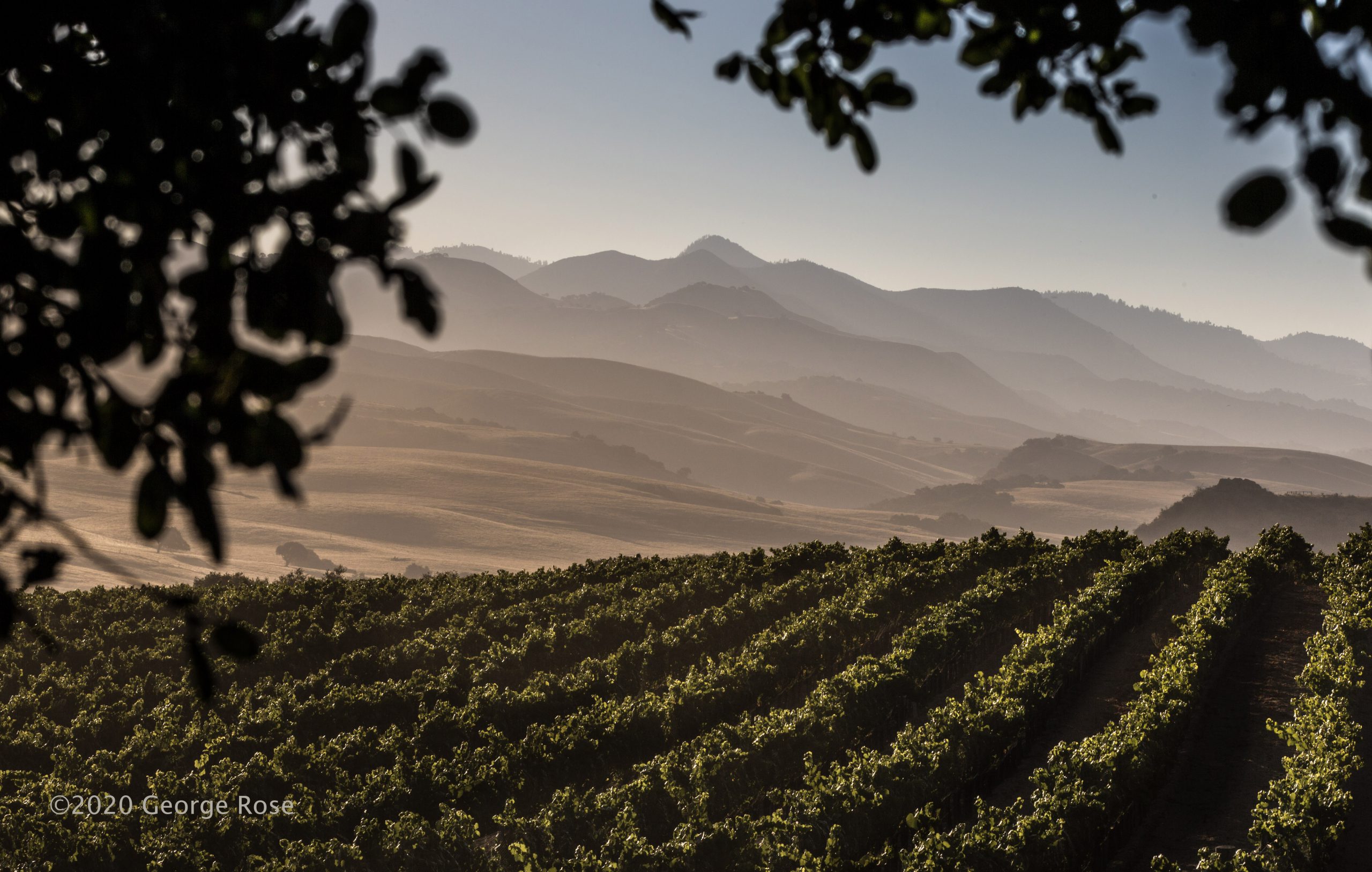 Vinography Images: In the Distance : Vinography