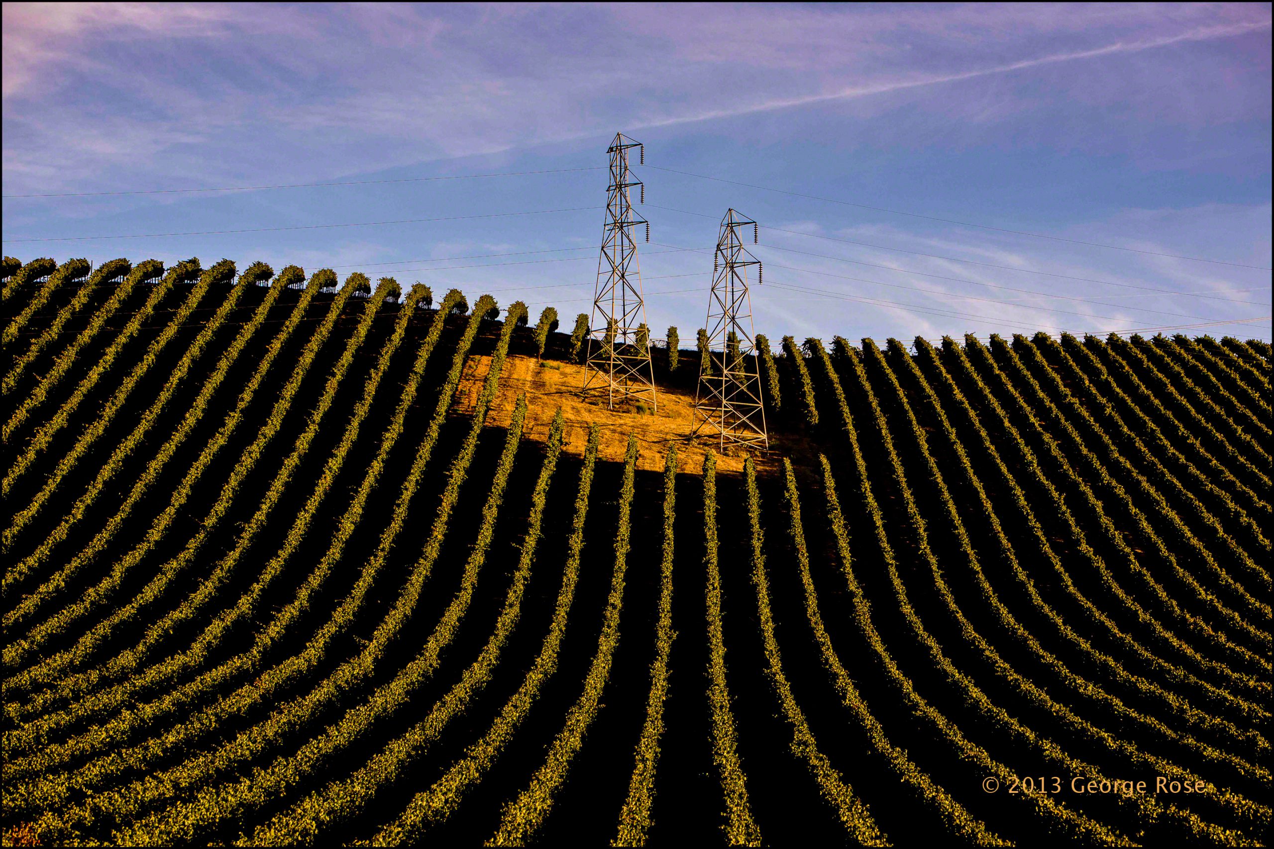 Vinography Images: Island in the Vines : Vinography