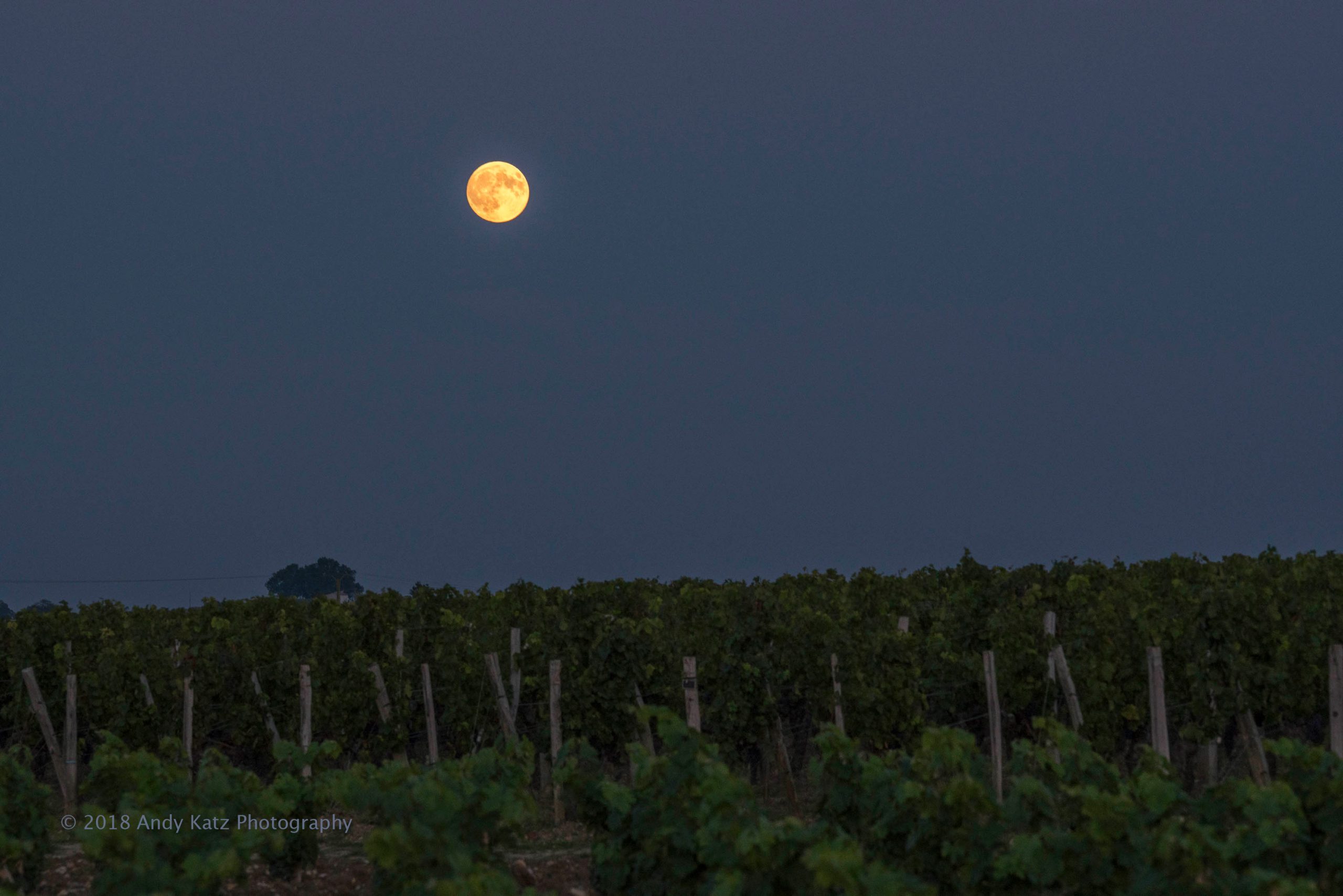 Vinography Images: Moon Over Pomerol : Vinography