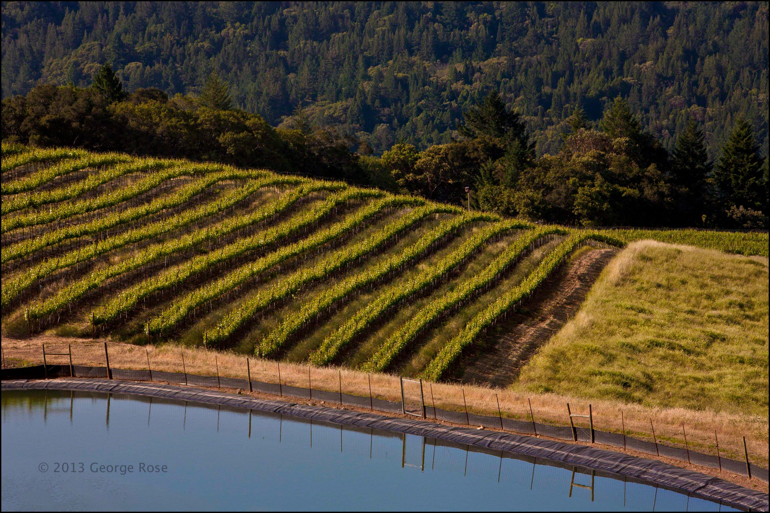 Vinography Images: Mountain Vines : Vinography