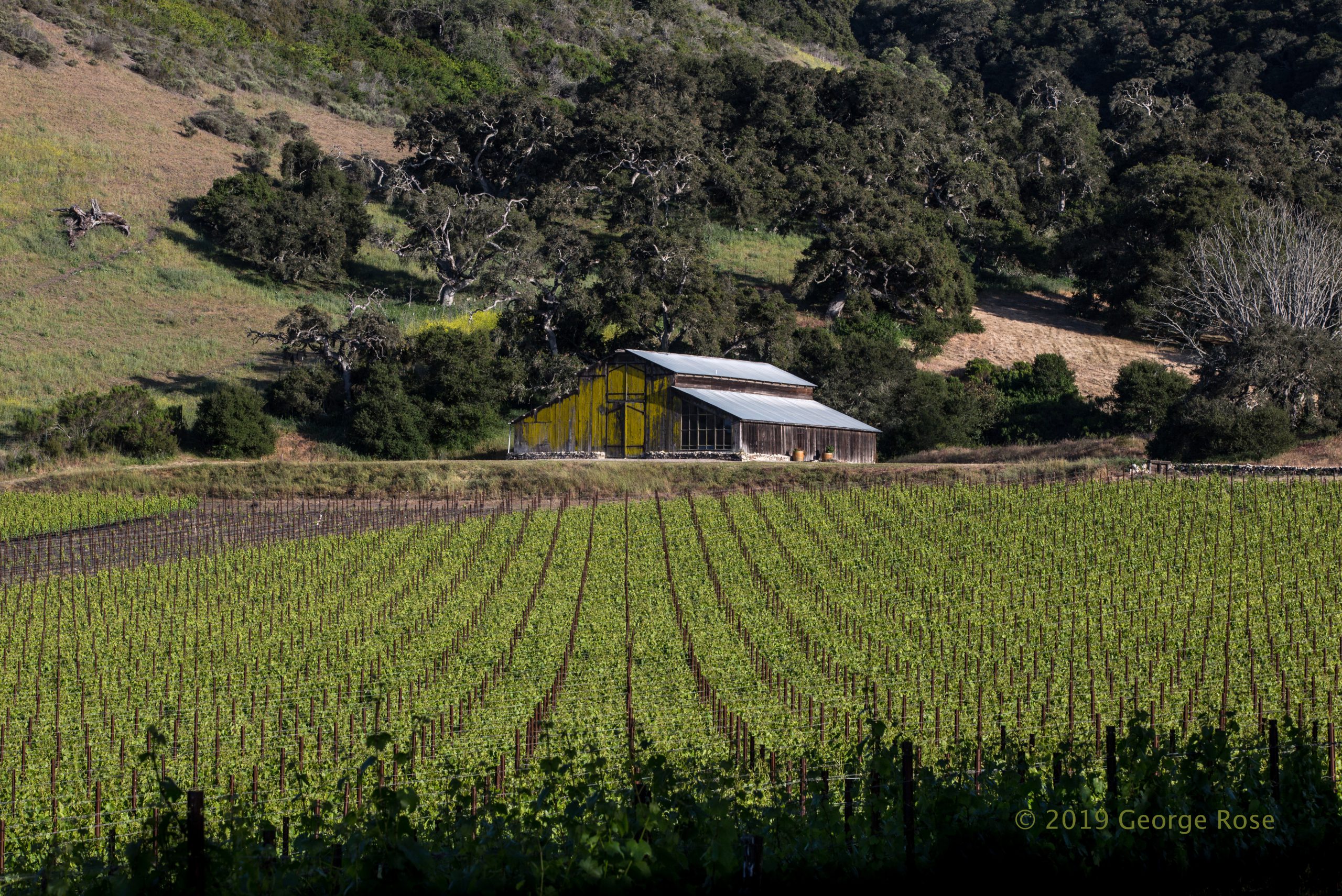 Vinography Images: The Original Barn : Vinography