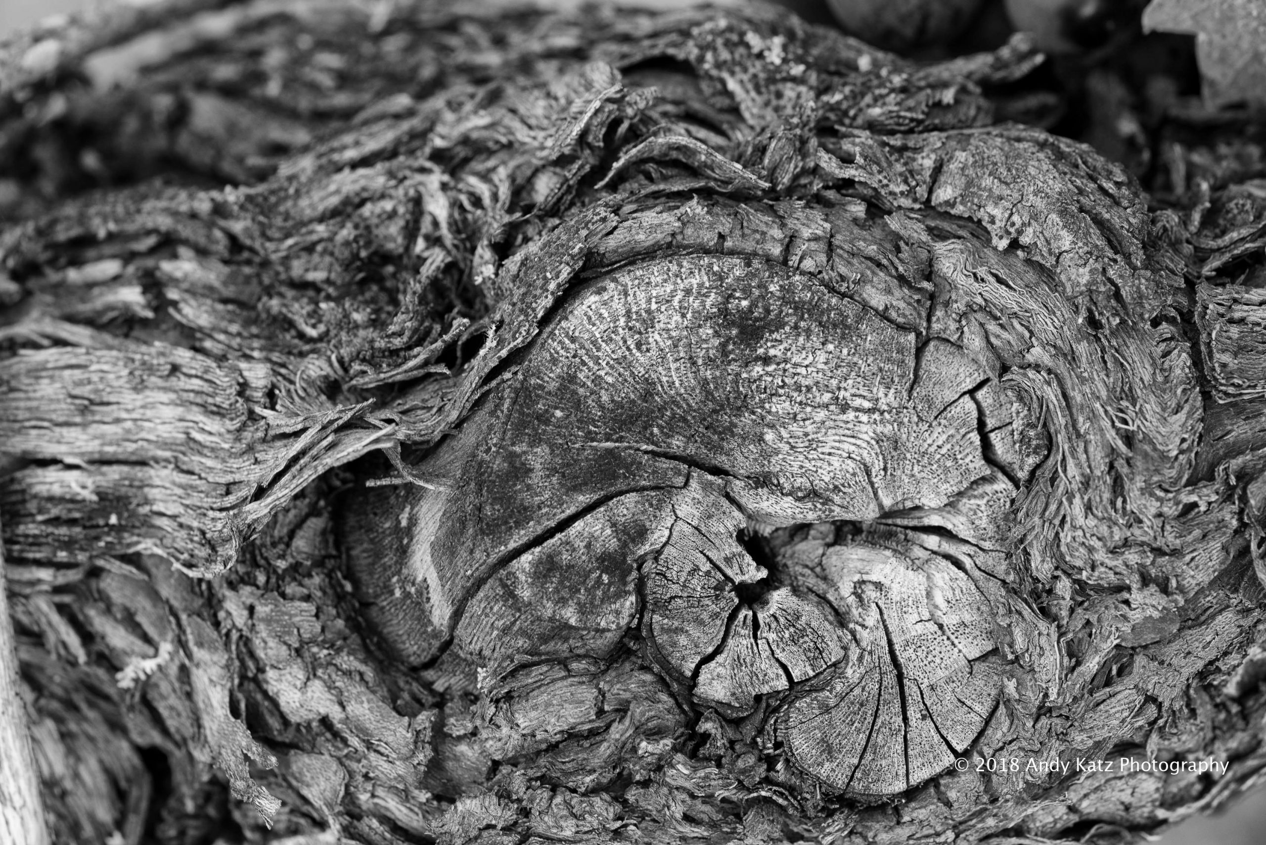 Vinography Images Old Wood Vinography vinography-images-old-wood-vinography
