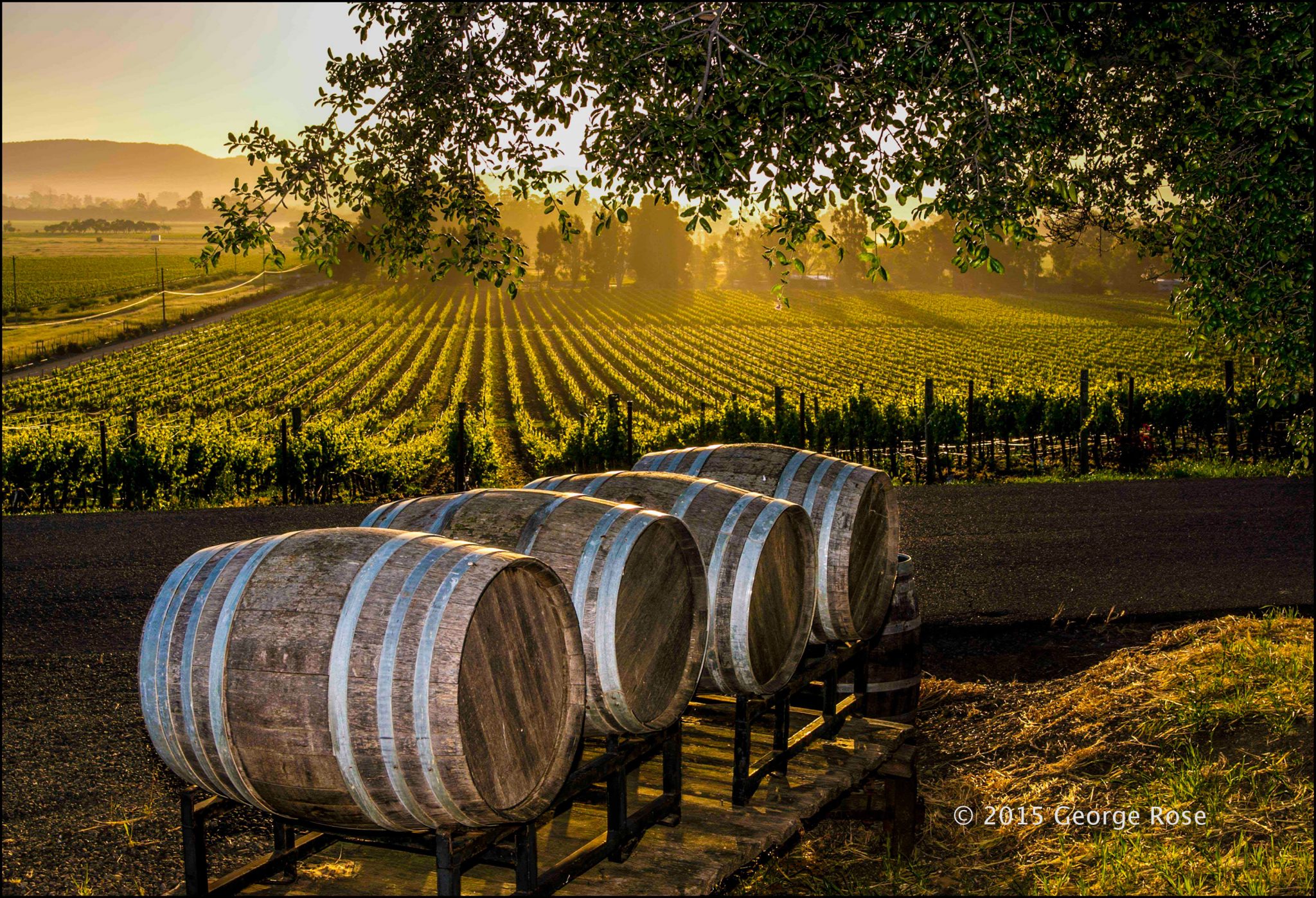 Vinography Images: Over a Barrel : Vinography