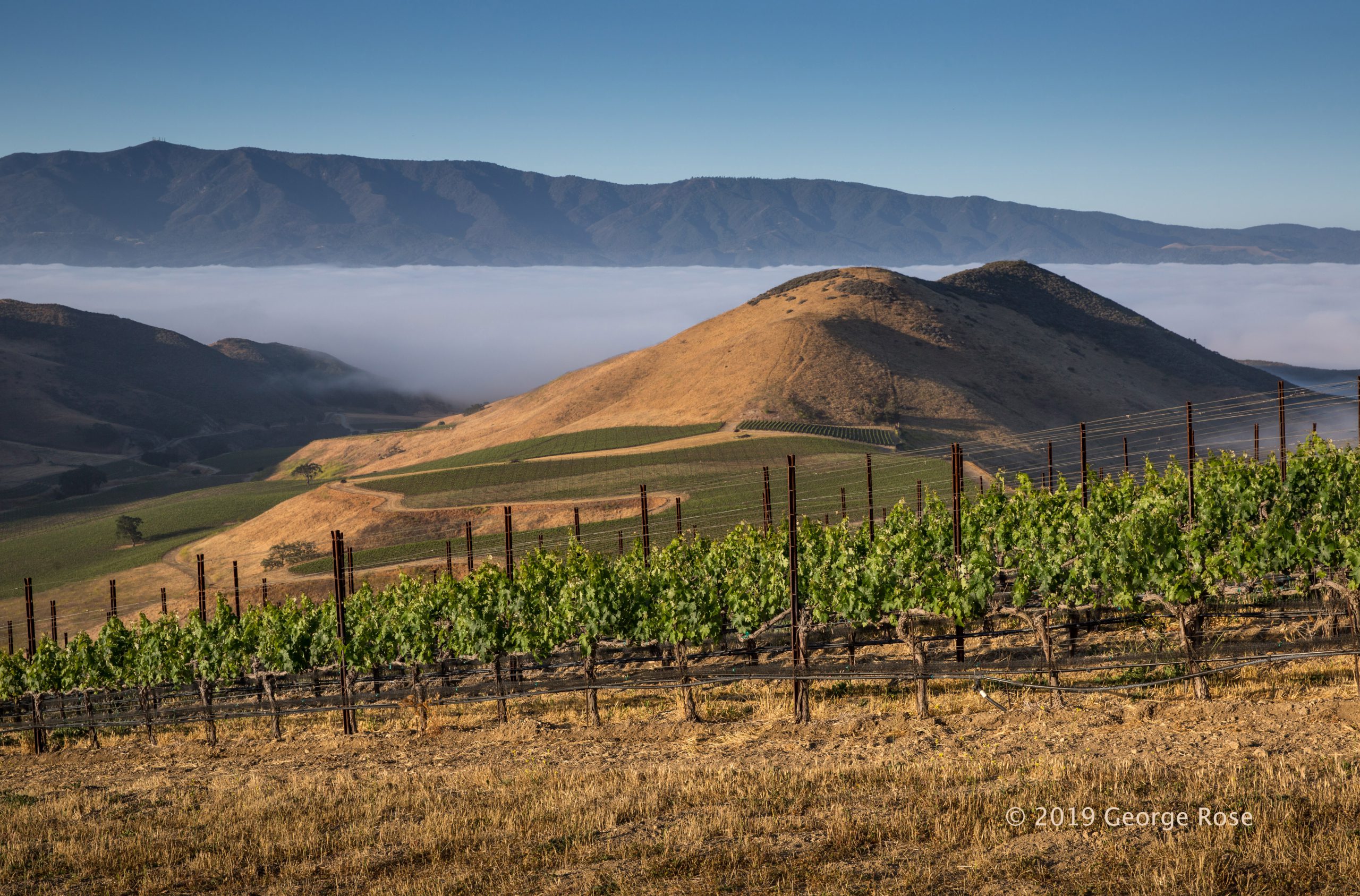 Vinography Images: Peaks and Valleys : Vinography