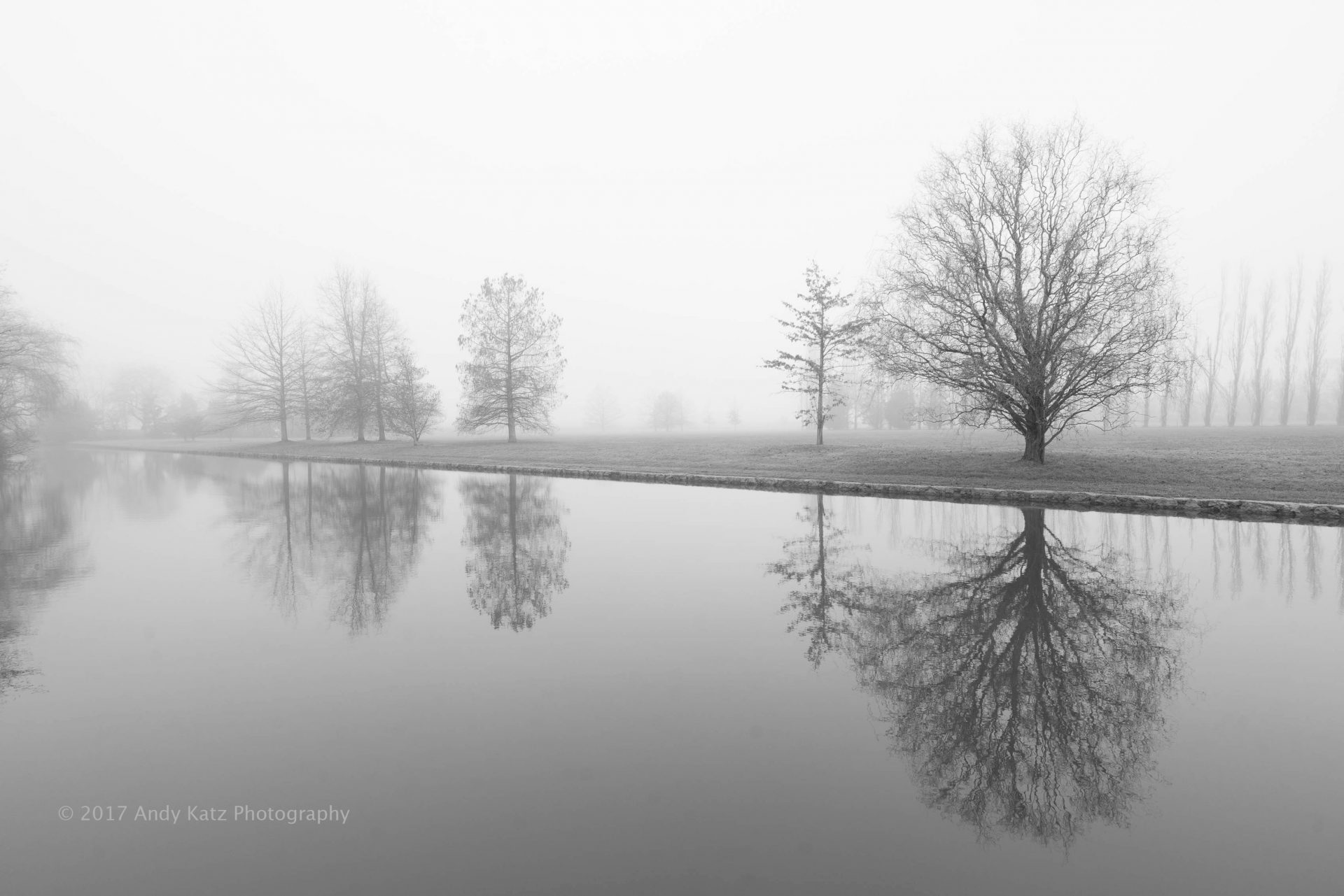Vinography Images: Silver Morning : Vinography