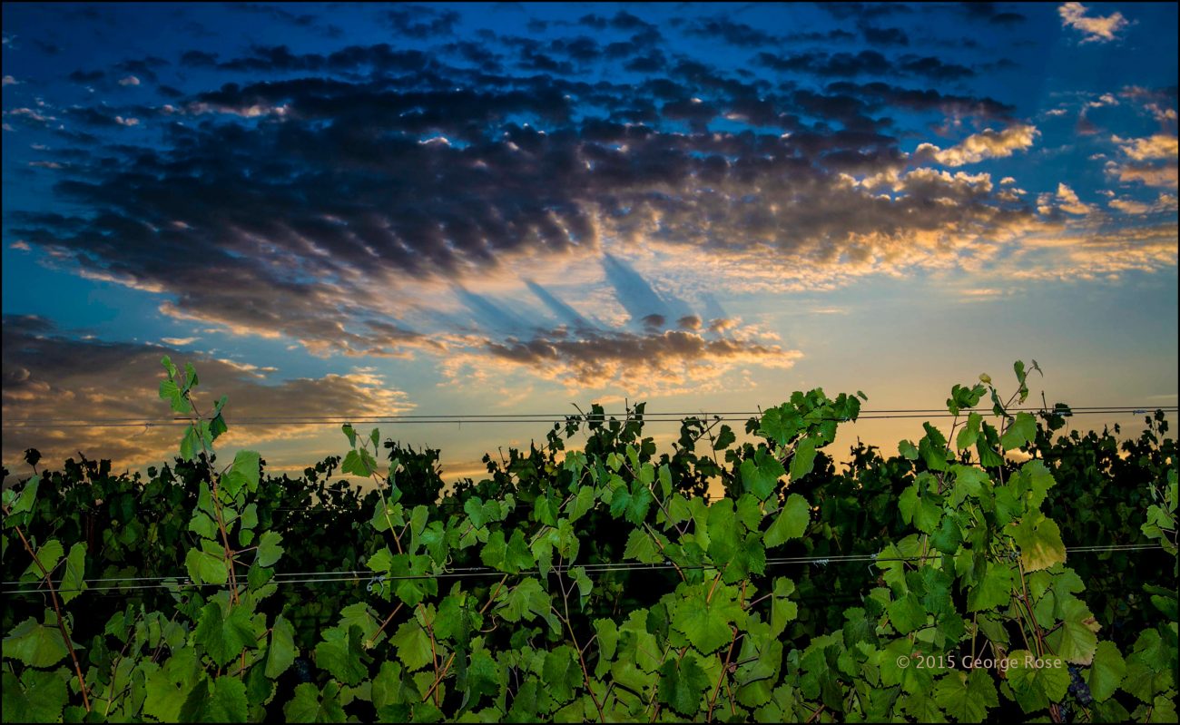 Vinography Images Sky Drama Vinography vinography-images-sky-drama-vinography