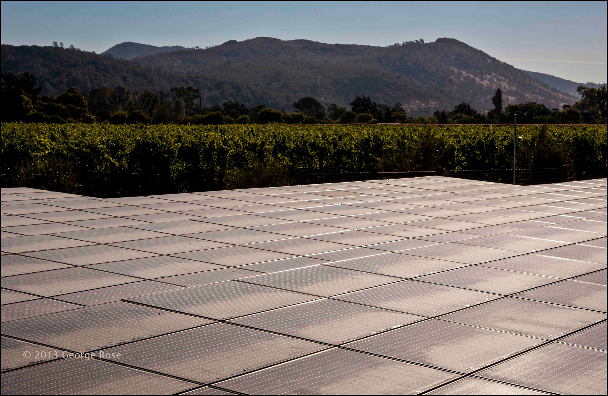 Vinography Images: Solar Vineyard : Vinography