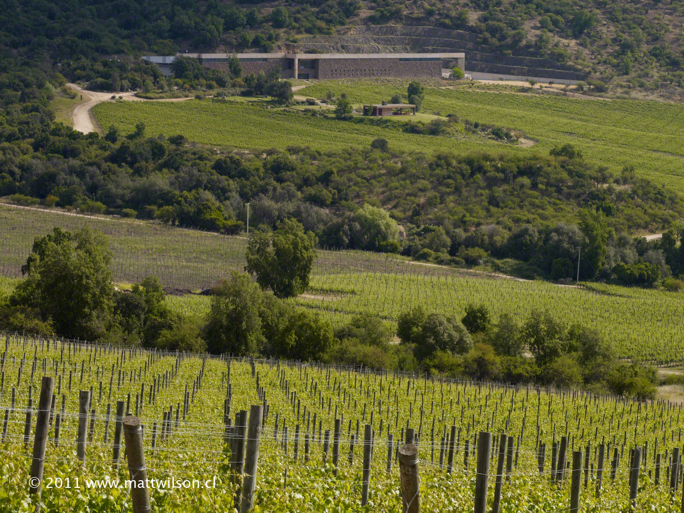 Vinography Images: Stone Winery : Vinography