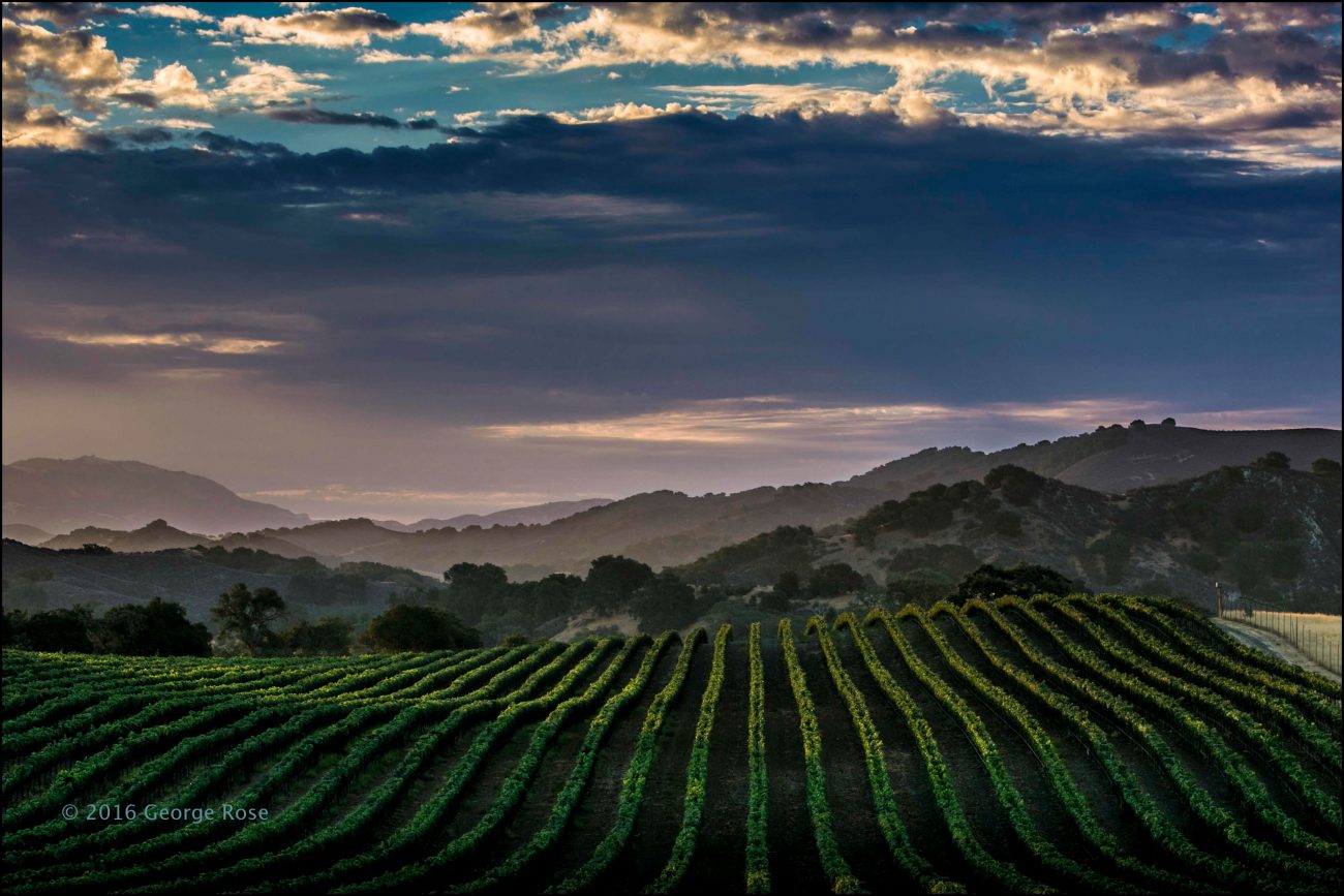 Vinography Images: Storm Clouds : Vinography