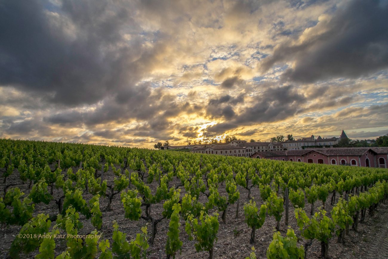 Vinography Images: The Gentle Slope : Vinography