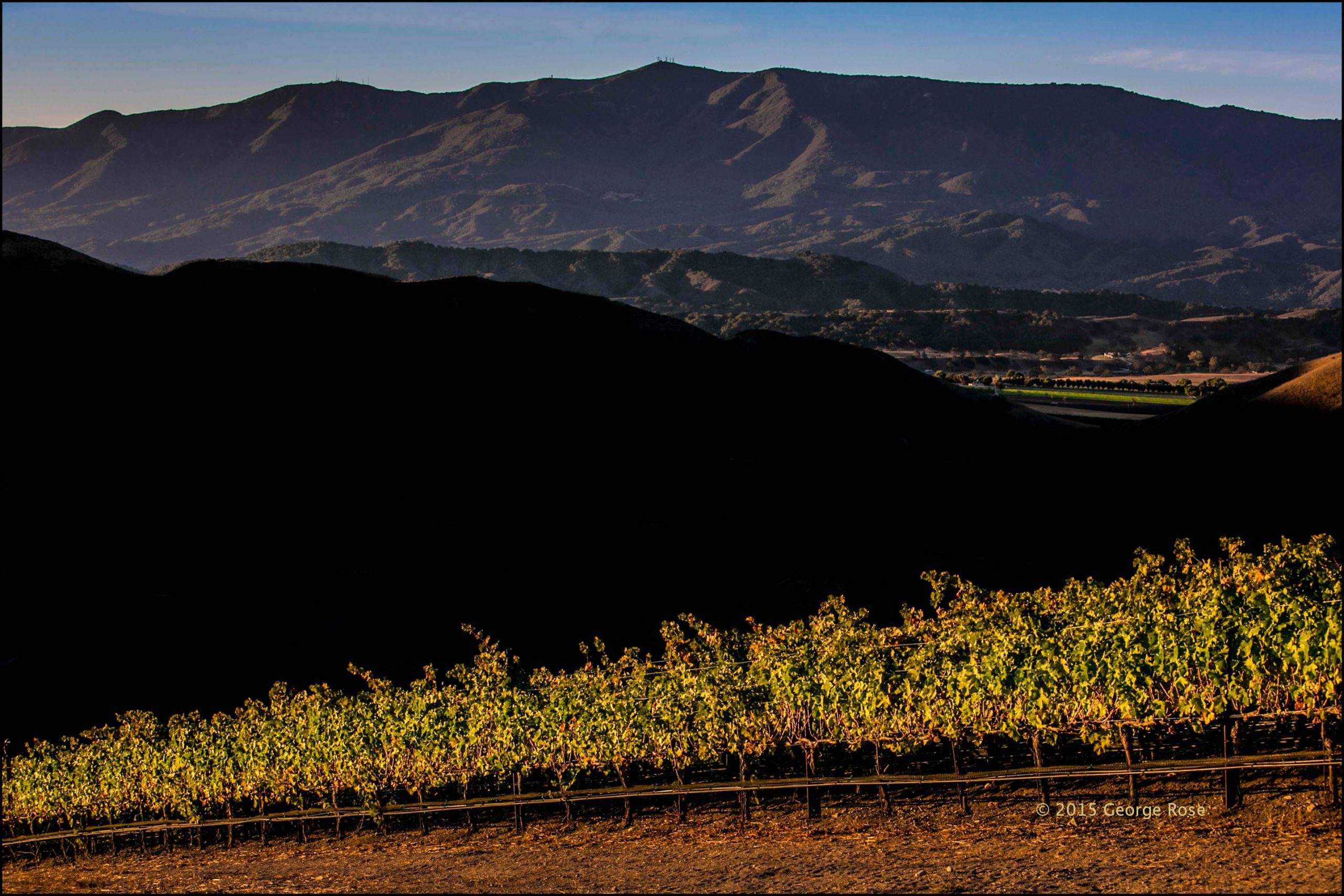 Vinography Images: The Happy Canyon : Vinography