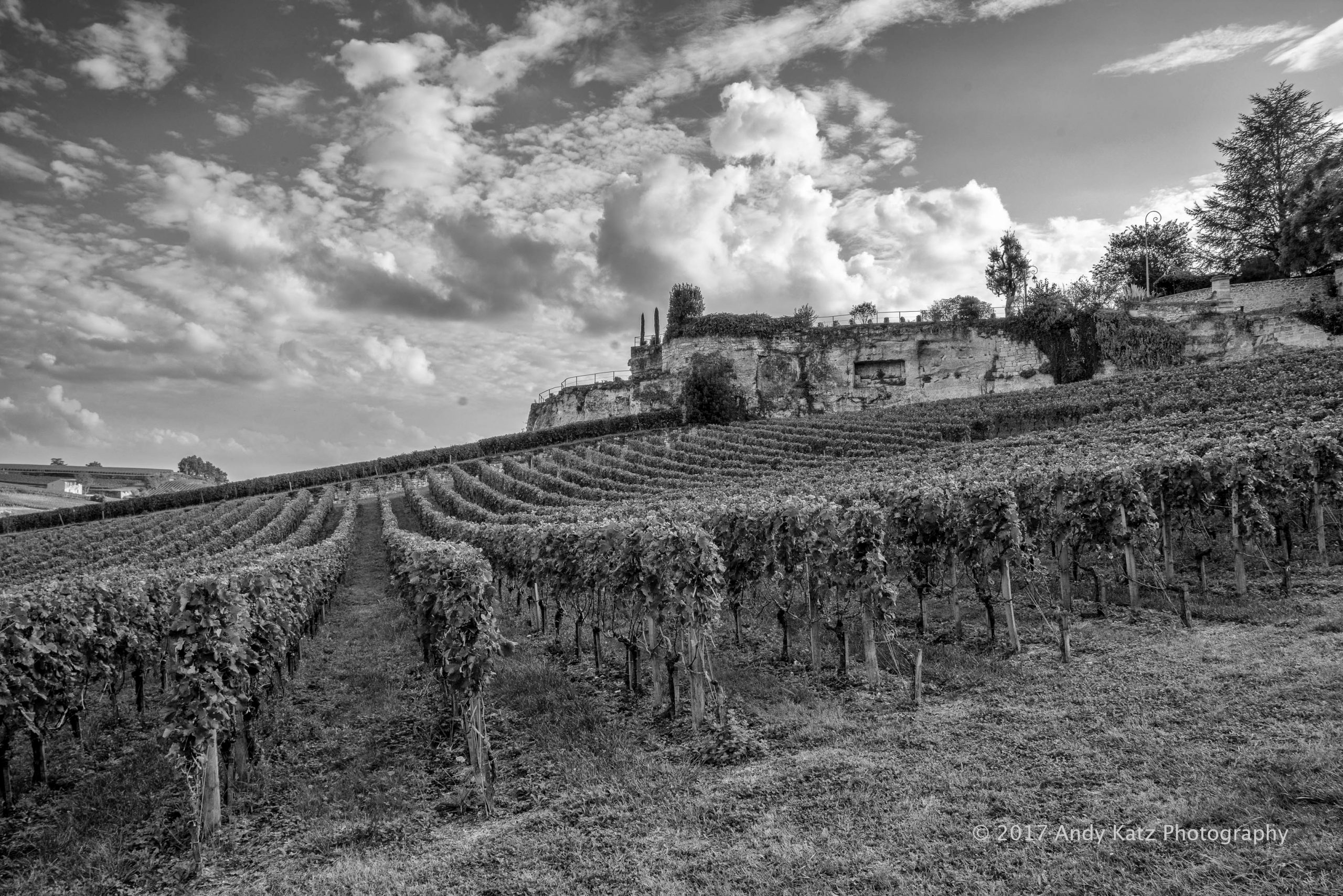 Vinography Images: The Old Wall : Vinography