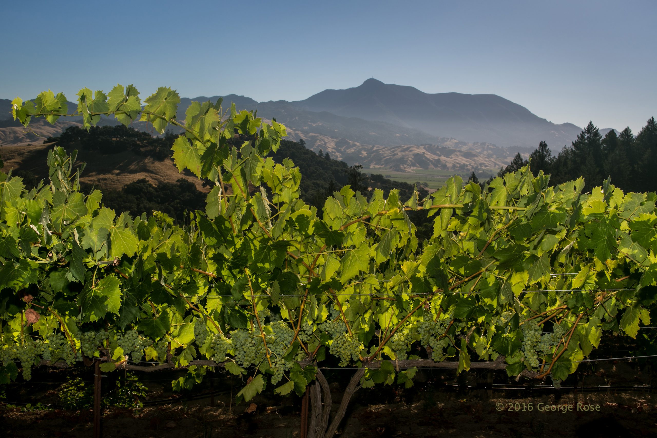 Vinography Images: The Peak : Vinography