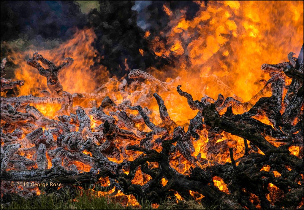 Vinography Images: Up in Flames : Vinography