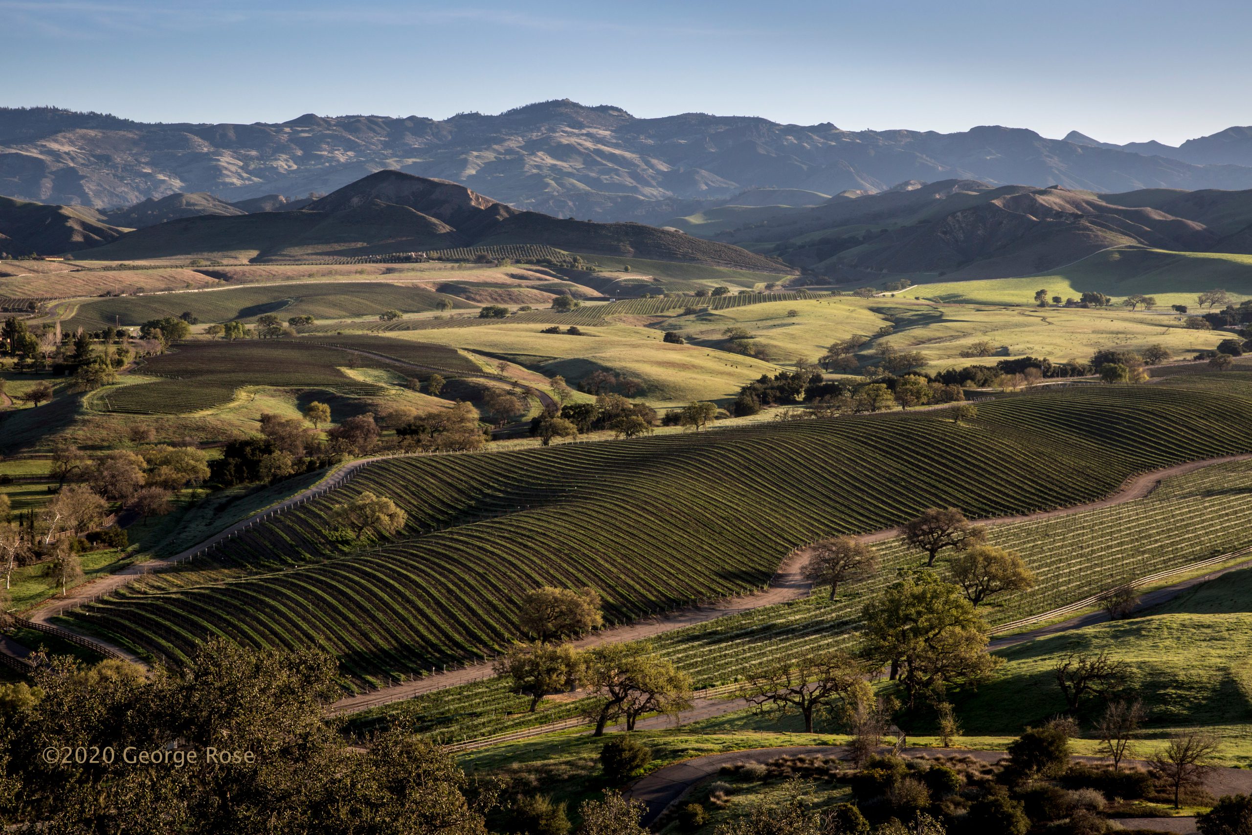 Vinography Images: Vineyard Vantage Point : Vinography