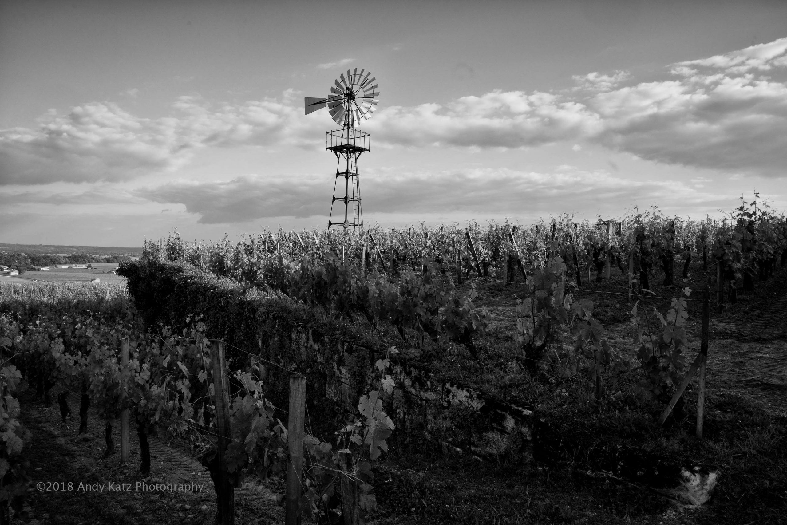 Vinography Images: Waiting for the Wind : Vinography