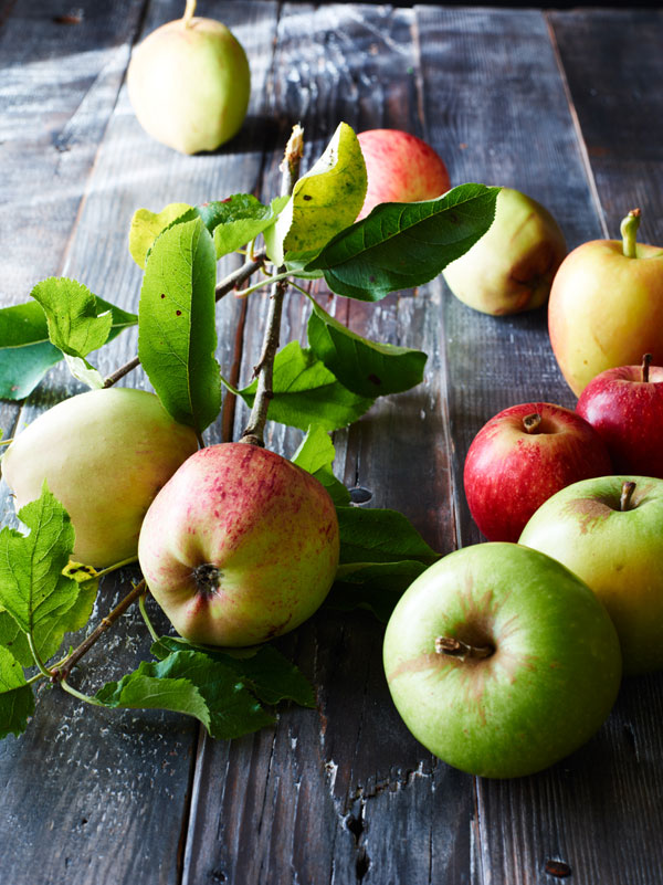 The Essence of Wine: Apples : Vinography