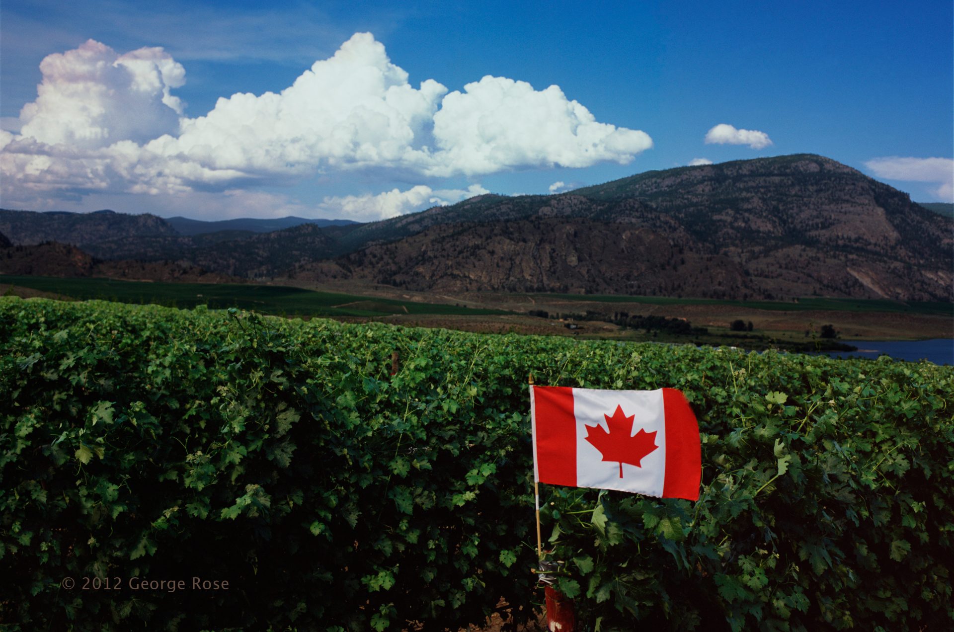 Vinography Images: Canadian Wine : Vinography