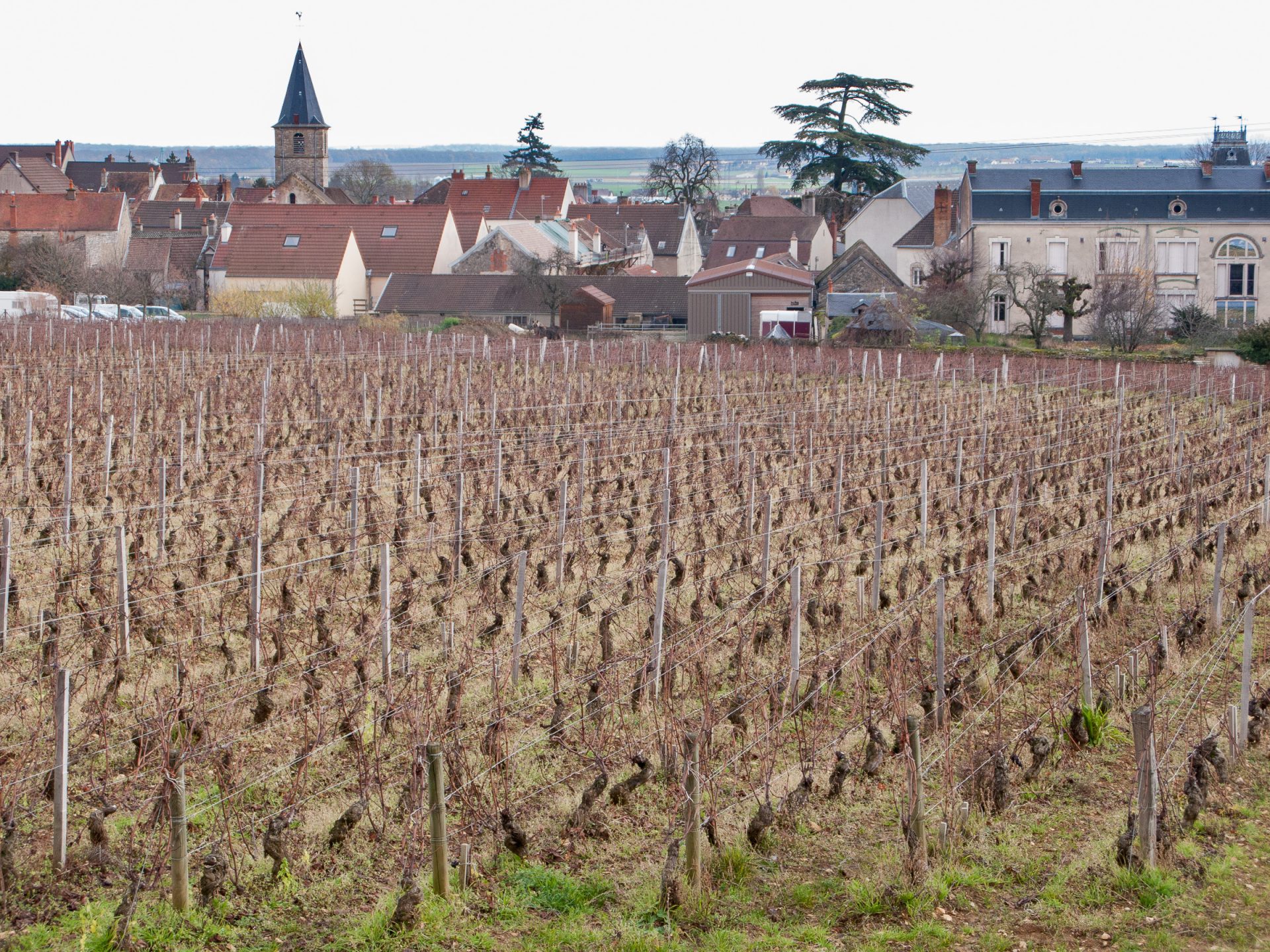 Warm Up: Richebourg : Vinography