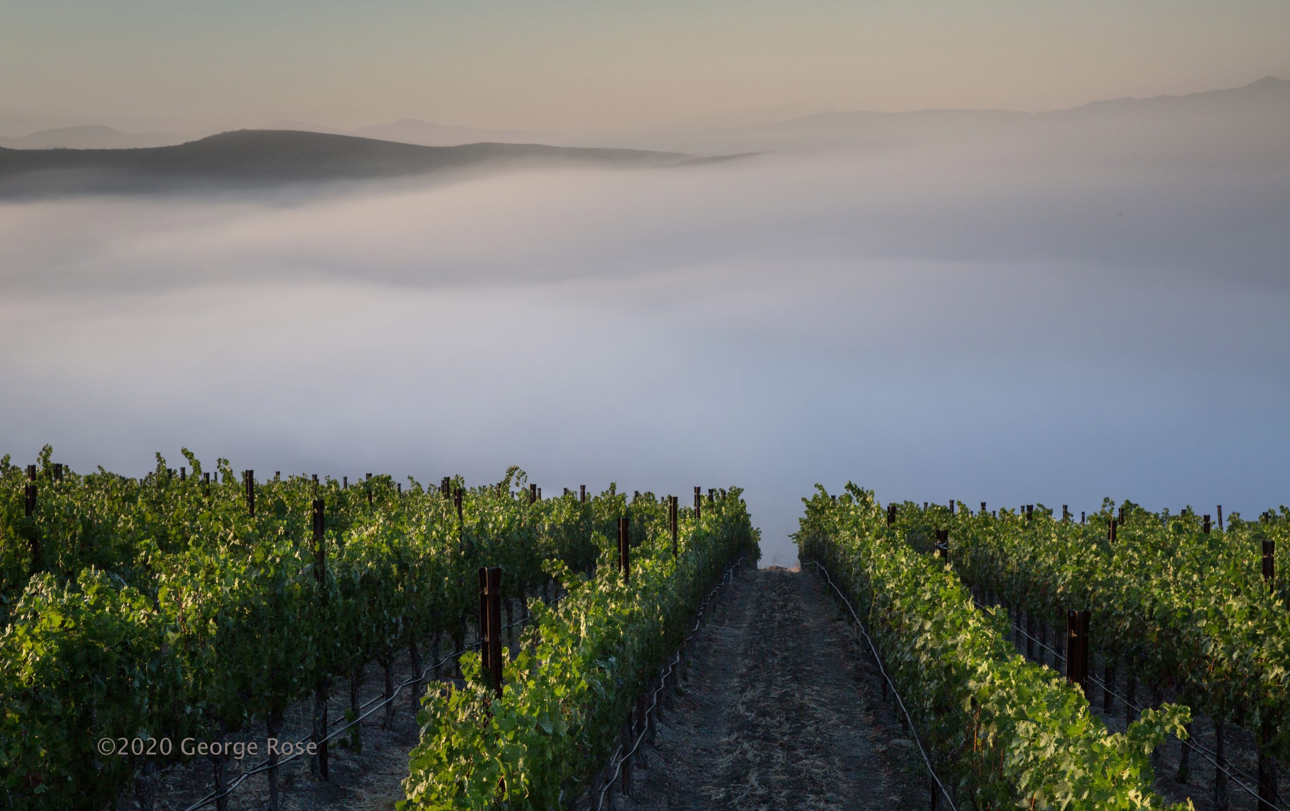 Vinography Images: Over the Edge : Vinography