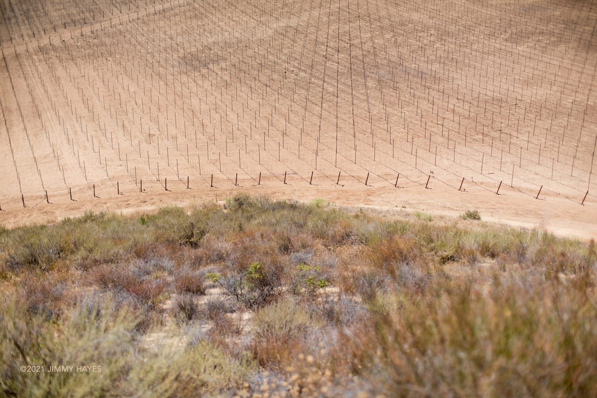 Vinography Images: Planting the Matrix : Vinography