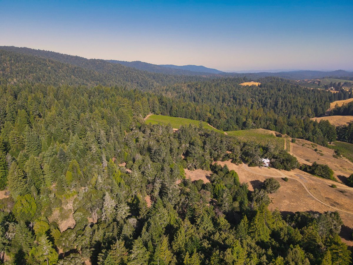 Poised for Greatness: Tasting The Evolution of Anderson Valley : Vinography