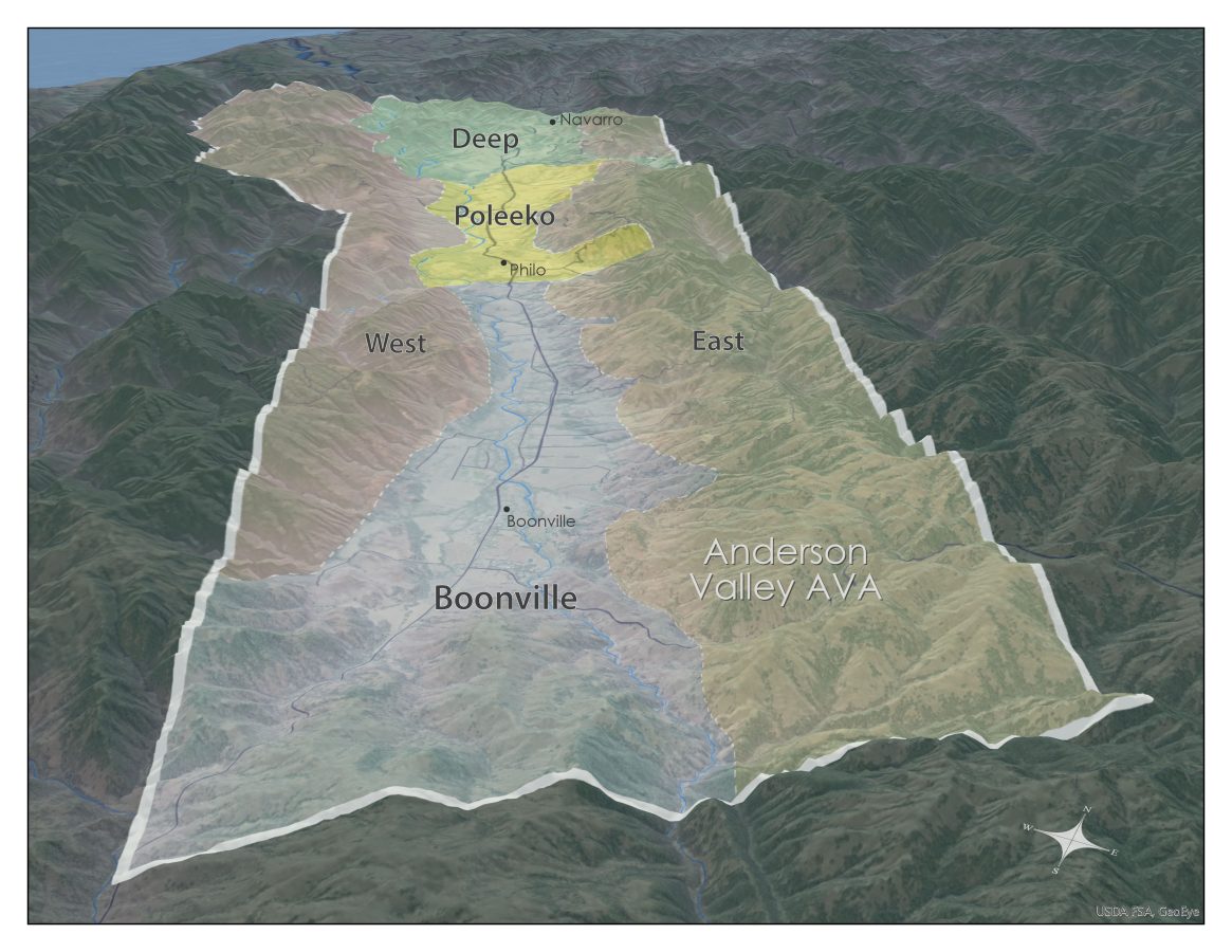 Poised for Greatness: Tasting The Evolution of Anderson Valley : Vinography