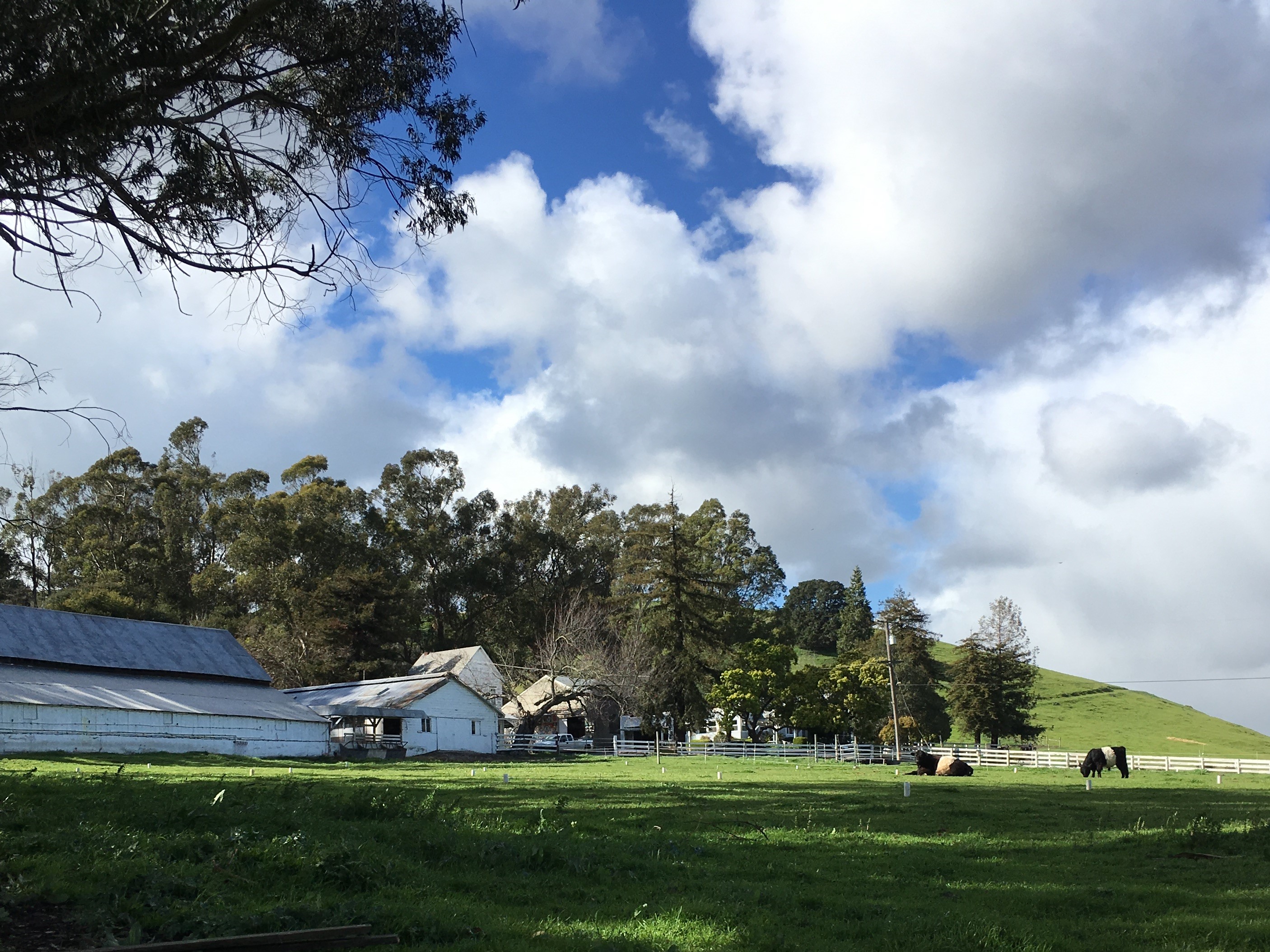 Napa – Small Scale, Big Change : Vinography