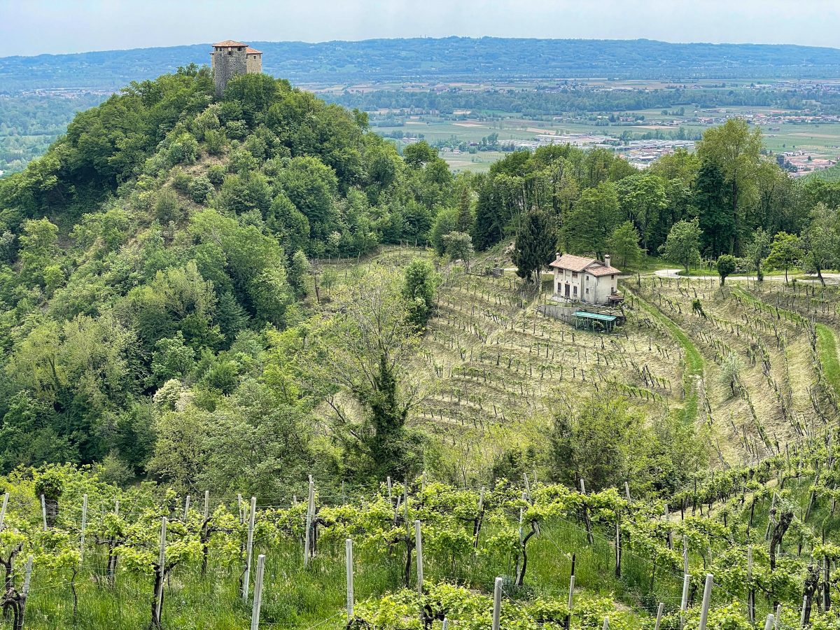 Prosecco At its Finest: Highlights From My Recent Trip : Vinography